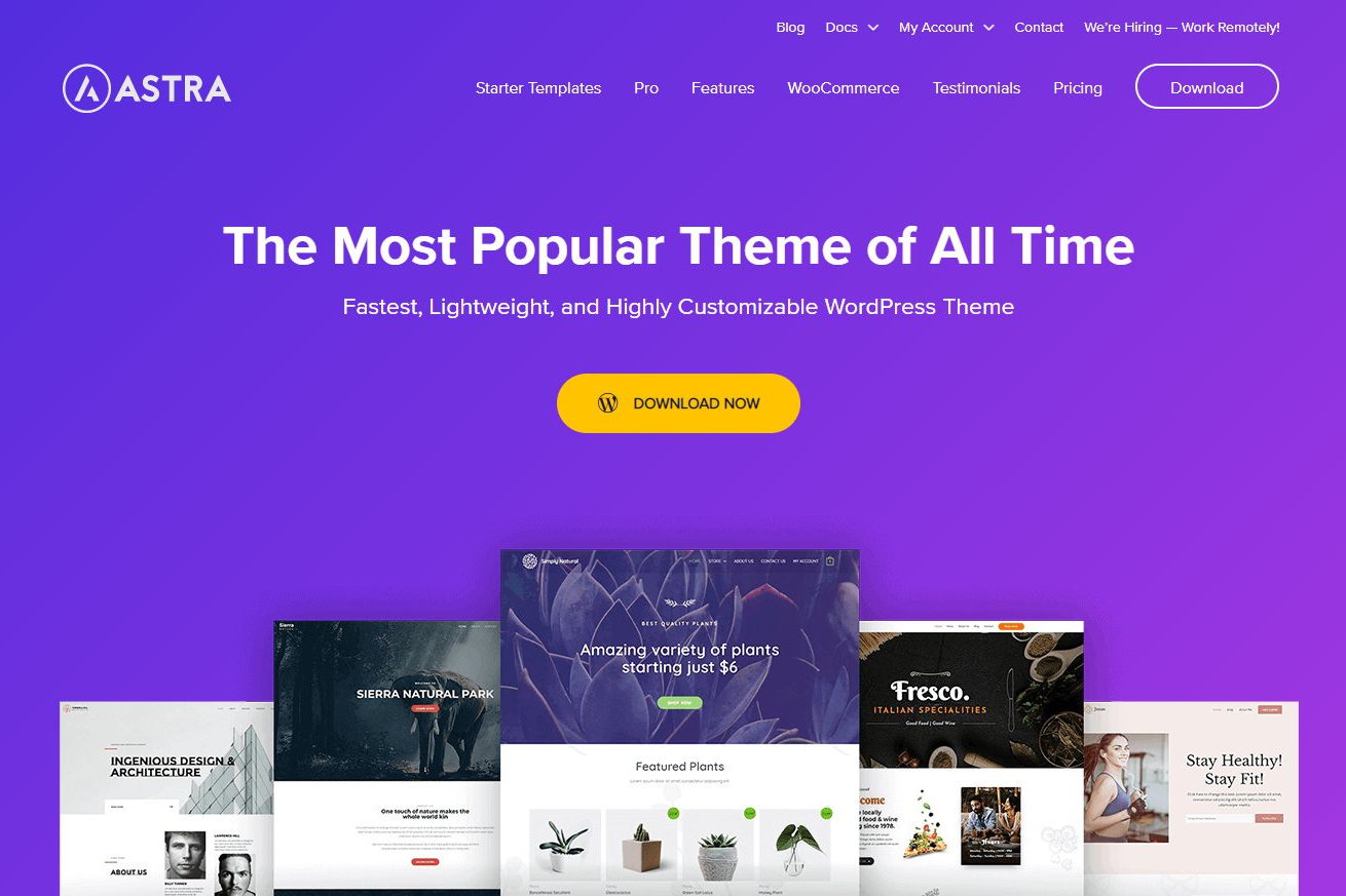 Best Website Themes for Stunning Design | Belissa Events